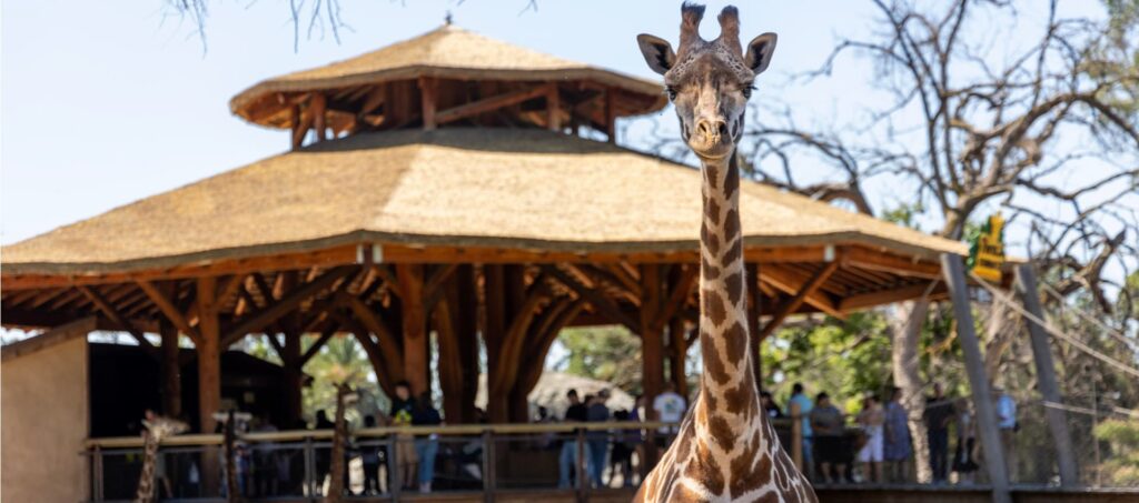 Plan Your Visit - Fresno Chaffee Zoo