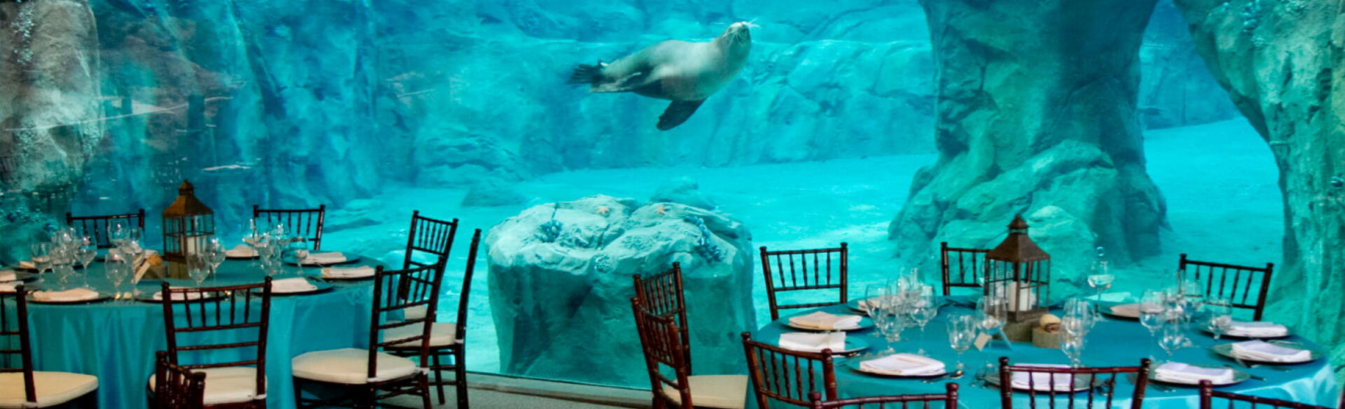 Events - Fresno Chaffee Zoo