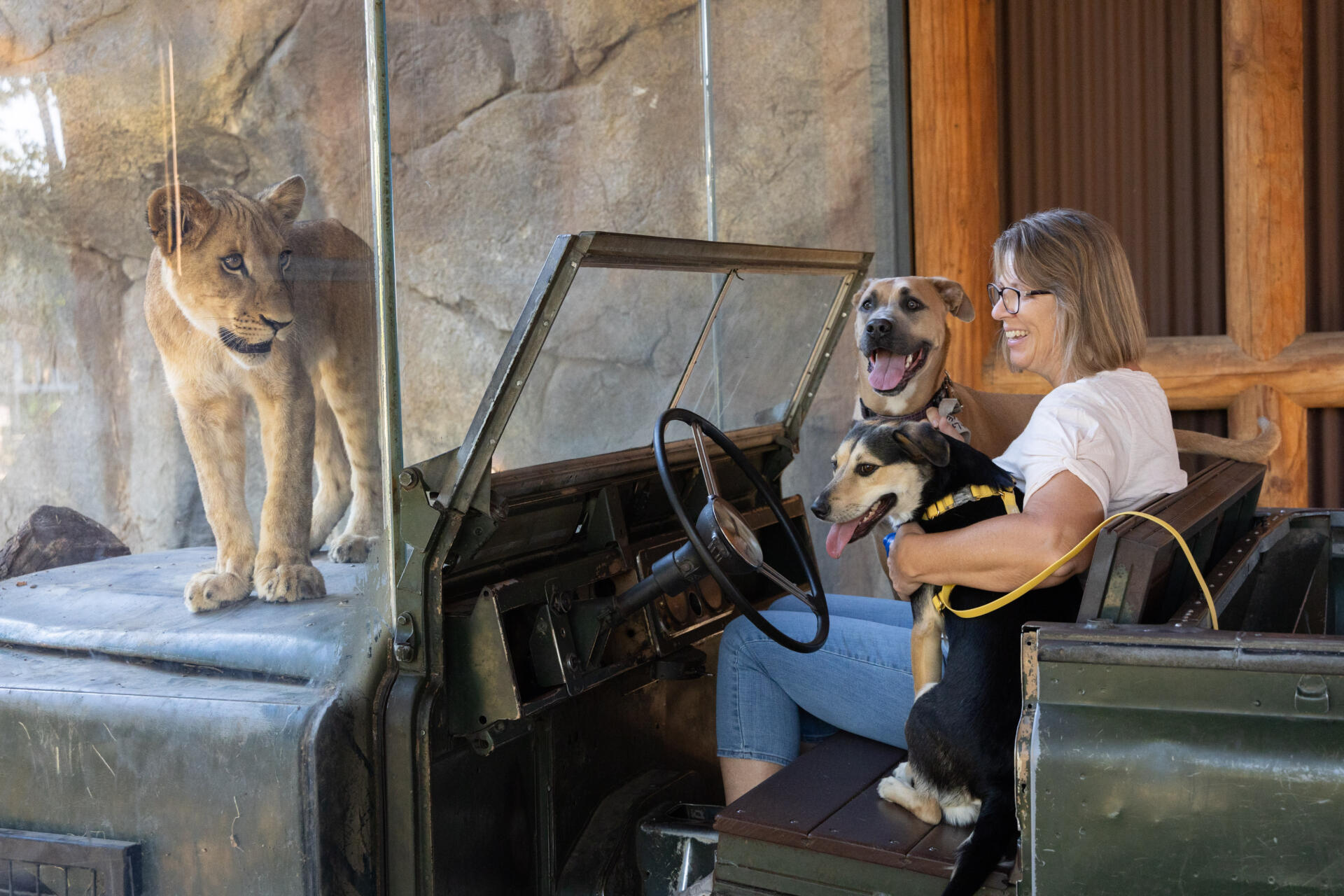 Events - Fresno Chaffee Zoo